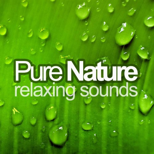 Relaxing Music and Nature Sounds (Floating Melodies, Soothing Harmonies ...