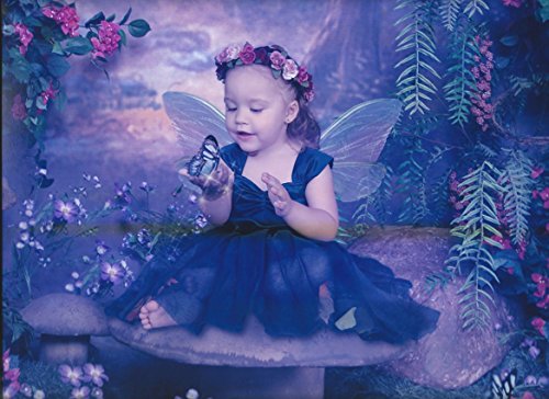 THE PIXIE PRINCESS - Kindle edition by Morales, Holly. Children Kindle ...