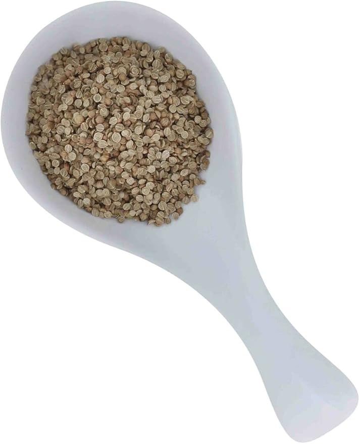 Amazon.com : Todd's Seeds Coriander (Split Seed Cilantro) Slo-Bolting ...