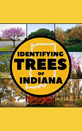 Identifying Trees of Indiana: A Simple Identification Guide Book To ...