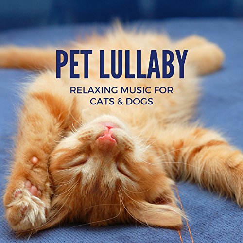 Amazon Music - Dog BedtimeのYour Favorite Pet Lullaby - Relaxing Music ...
