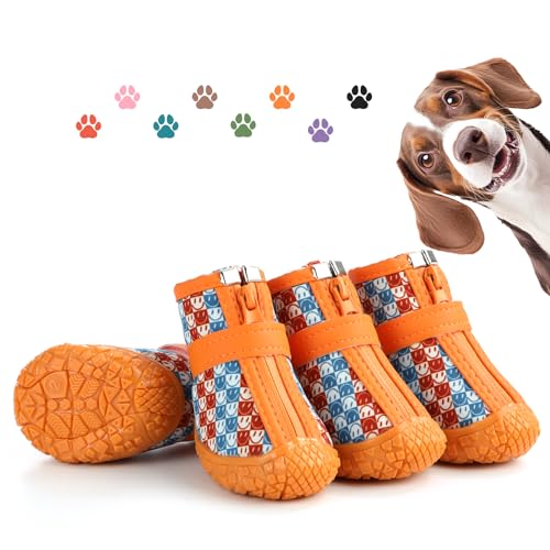 Crocs for Dogs – The 15 best products compared - Wild Explained