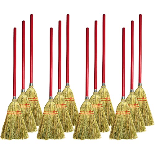 Amazon.com: GJO12501CT - Genuine Joe Lobby Toy Broom : Health & Household