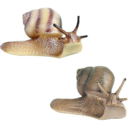 Amazon.com: Rich Boxer 2 Pcs Snail Figurines Snail Model Miniature ...