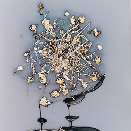 Play A Dream of Two Moons by io & Titan on Amazon Music