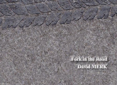 Amazon.com: Fork in the Road: 9780991685028: Merk, David, Da Vinci, Cha ...