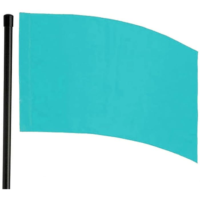 Buy Director's Showcase 6' Black Flag Pole and Color Guard Flag Package ...