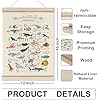 Amazon.com: HRQKO Ocean Alphabet Poster Hanger Frame Set of 2, Ocean ...