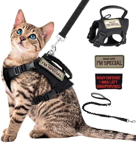 Pet Supplies : Tactical Cat Harness and Leash Soft Mesh Cat Outdoor ...