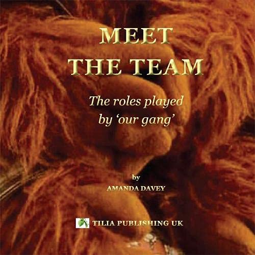Buy Meet the Team: the roles played by 'our gang' Book Online at Low ...