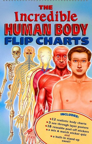 Incredible Human Body: Traditional: 9782764114384: Amazon.com: Books