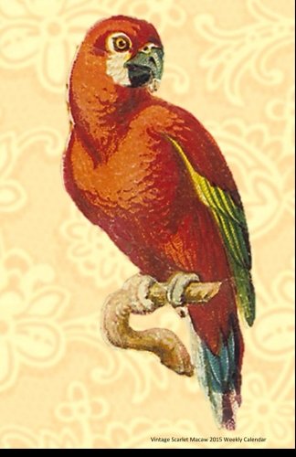 Vintage Scarlet Macaw 2015 Weekly Calendar: 2015 week by week calendar ...