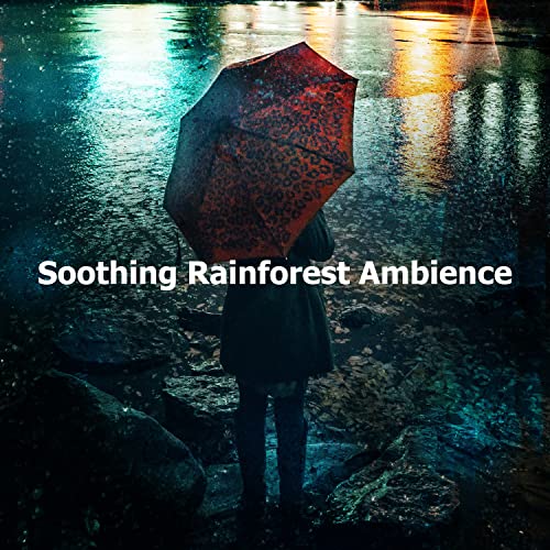 Amazon.com: Soothing Rainforest Ambience : Relaxing Rainforest Sounds ...
