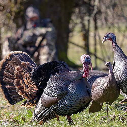 Dave Smith Decoys Upright Hen — The Turkey Call Store