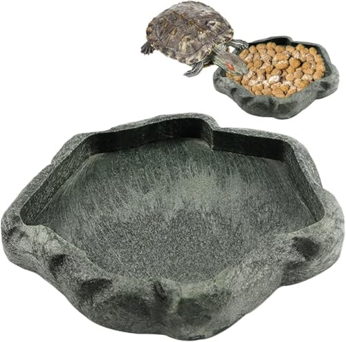 Best Water Bowls for Ball Pythons: Durable Dishes for Hydration and ...