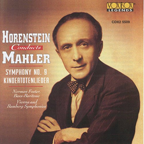Amazon.com: Mahler: Symphony No. 9 in D Major & Kindertotenlieder ...