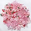 Amazon.com: 60 Pcs Junk Case Charms Kit, Charms for Junk Cases, 3D Pink ...