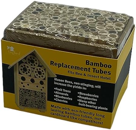 Amazon.com: Songbird Essentials Bee & Insect Hotel Replacement Tubes ...