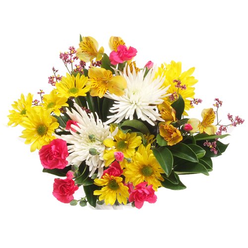 Amazon.com : Fresh Flower Bouquet : Fresh Cut Format Mixed Flower ...