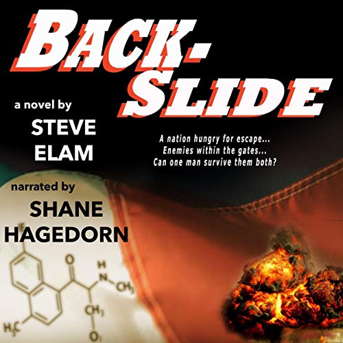 Amazon.com: Backslide (Audible Audio Edition): Steve Elam, Shane ...