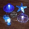Amazon.com : Starryfill Beach Theme 36 LED String Lights Jellyfish ...