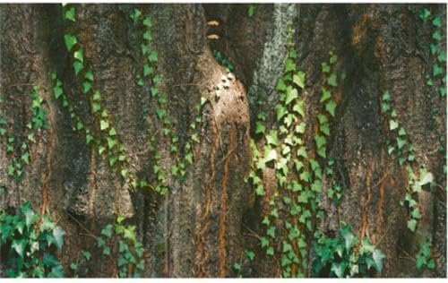 Tree Bark with Ivy Aquarium Fish Tank Plastic Background - 60cm height ...