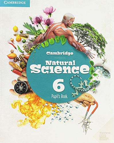 Natural Science 4 Primary BYME: Explorando el mundo natural. - Mi Hogar