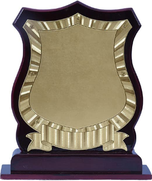 Sigaram 9 Inches Shield for Appreciation Gift,Sport, Academy, Awards ...