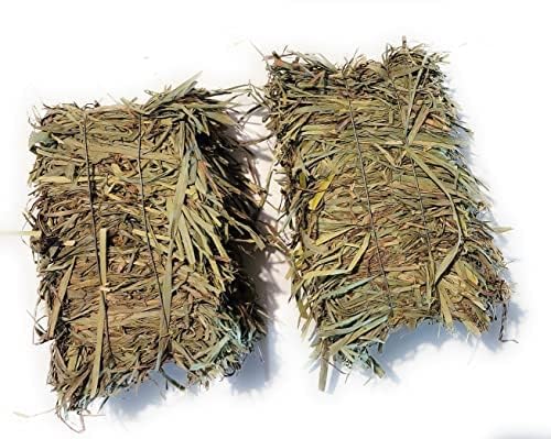 Amazon.com: Rabbit Food-Small Pet Treats - All Natural Alfalfa Hay ...