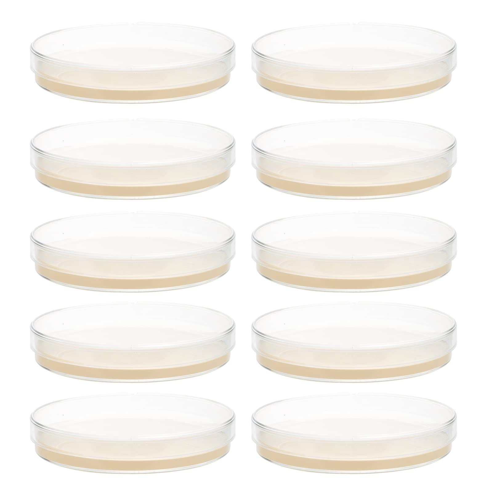 Popetpop Potato Dextrose Agar Plates 10pcs Prepoured Potato Dextrose ...