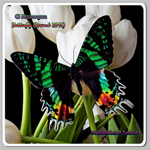 Butterfly (Rework 2016 Mix) de Cj Stereogun en Amazon Music - Amazon.es