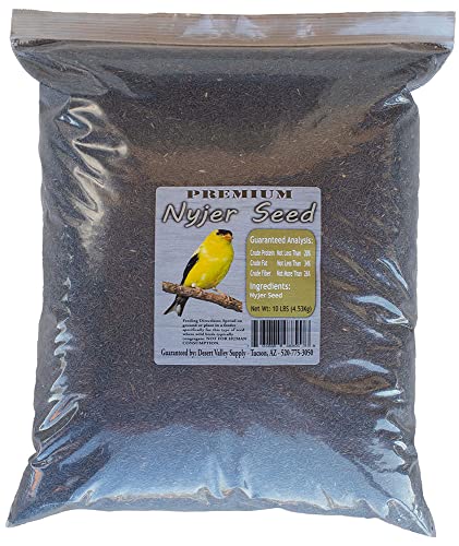 10 Best Njer Seed Products for a Bountiful Bird Feast - Your Ultimate ...