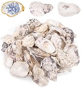 Amazon.com: QEQEKAKA 30PCS Oyster Shells Flat & Concave 4"-5" Large ...