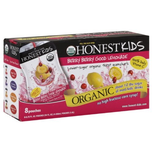 Amazon.com : Honest Tea Kids Berry Berry Good Lemonade 8 Pouches Per ...