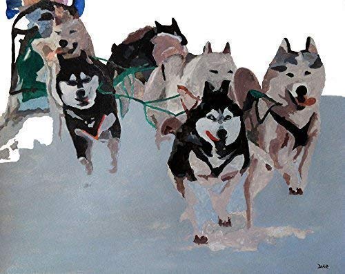 Amazon.com: Outdoor Sports Art Dog Sledding Iditarod Trail - 8x10 Print ...