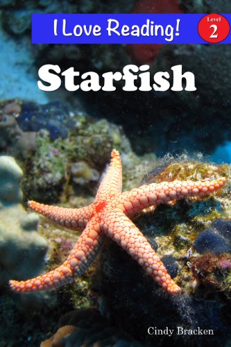 Starfish Books for Kids {Ocean Animals Unit Study}