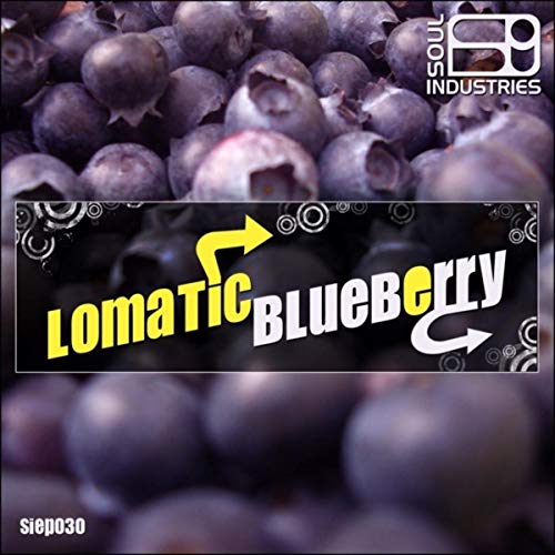 Amazon.com: Blueberry : Lomatic: Digital Music