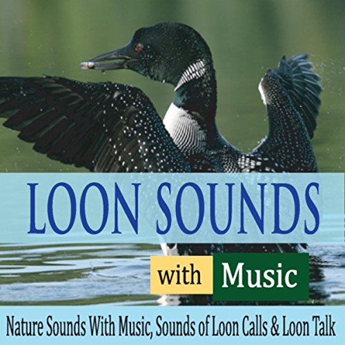 Play Loon Sounds With Music: Nature Sounds With Music, Sounds of Loon ...
