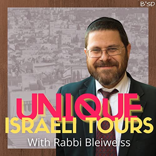 Unique Israeli Tours : Rabbi Menashe Bleiweiss: Amazon.in: Audible ...