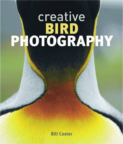 Buy Creative Bird Photography Book Online at Low Prices in India ...