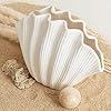 Amazon.com: Shell Shaped vase, Ceramic vase for Modern Home Decor ...