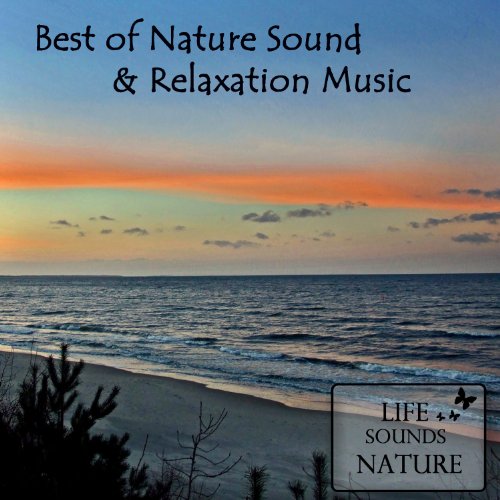 Amazon Music Unlimited - Life Sounds Nature 『Best Of Nature Sounds And ...