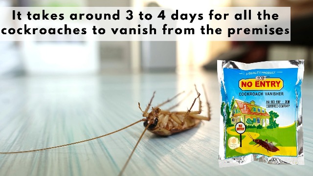 Watch Exit No Entry Cockroach Vanisher on Amazon Live