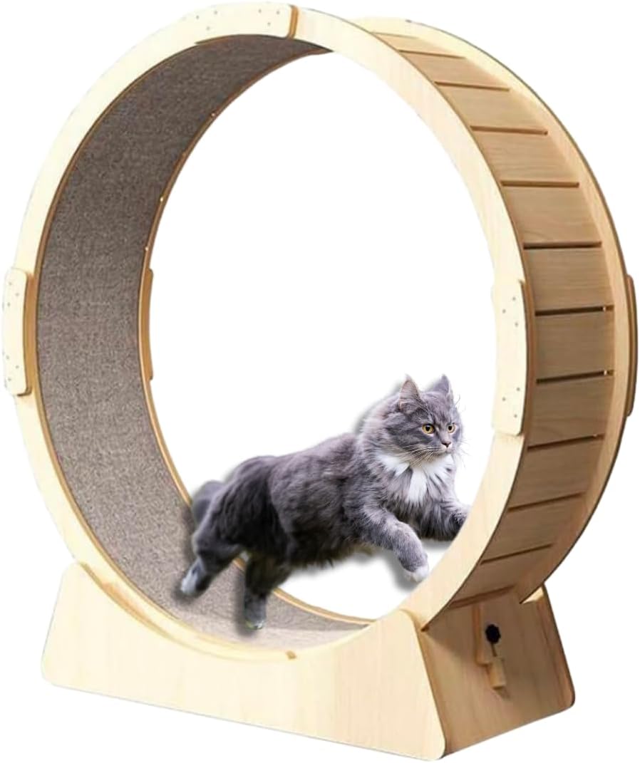 Cat Exercise Wheel Indoor 39-Inch Cat Exercise Wheel - Indoor Cat ...