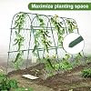 Treillis de Concombre Pliable Forme U, Plantes Grimpantes en Grille ...