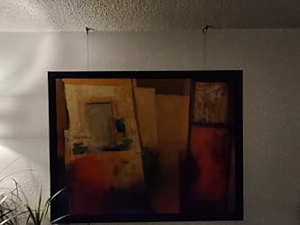 Chris.W 2Pack Art Gallery Ceiling Wall Mount Picture Hanging System Kit ...