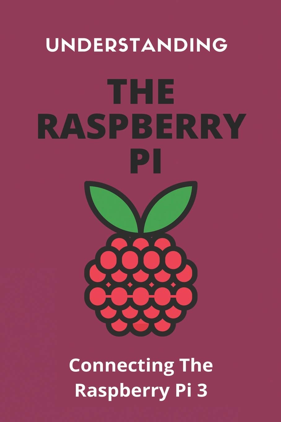 Buy Understanding The Raspberry Pi: Connecting The Raspberry Pi 3 ...