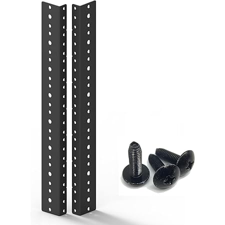 Adam Hall 19" Parts 61535 B 10 Befestigungsschiene 10 HE : Amazon.de ...