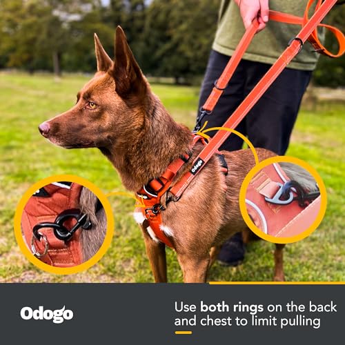 ODOGO, No-Pull Harness, Size S, Burnt Orange, Adjustable Reflective Harness, Front and Back ...