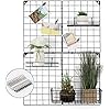 Amazon.com: NEX Wall Grid Panel for Photo Display, Wall Storage ...